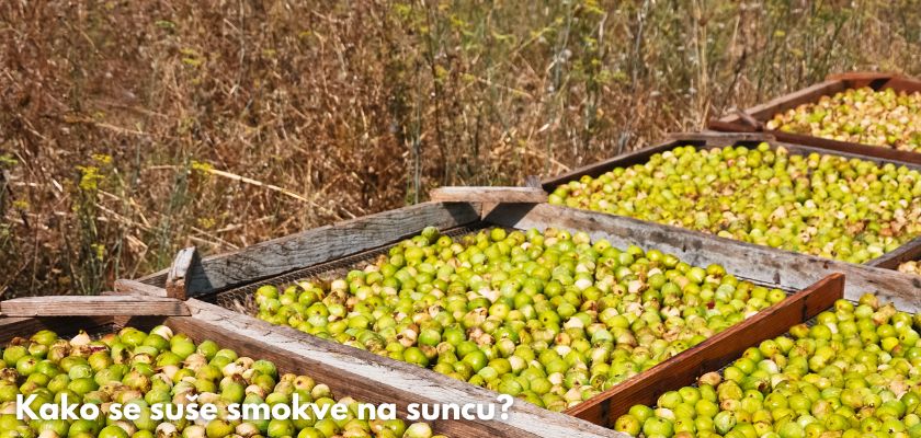 Kako se suše smokve na suncu?