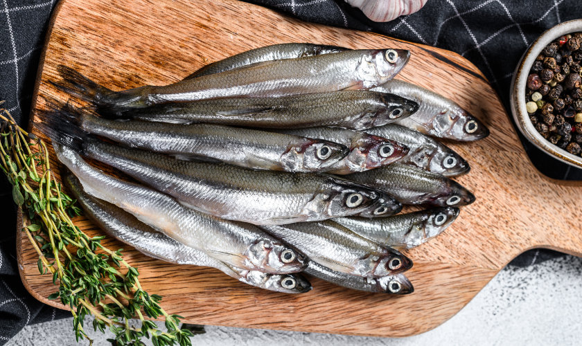 Srdele na gradele: Tajne savršenog roštilja!