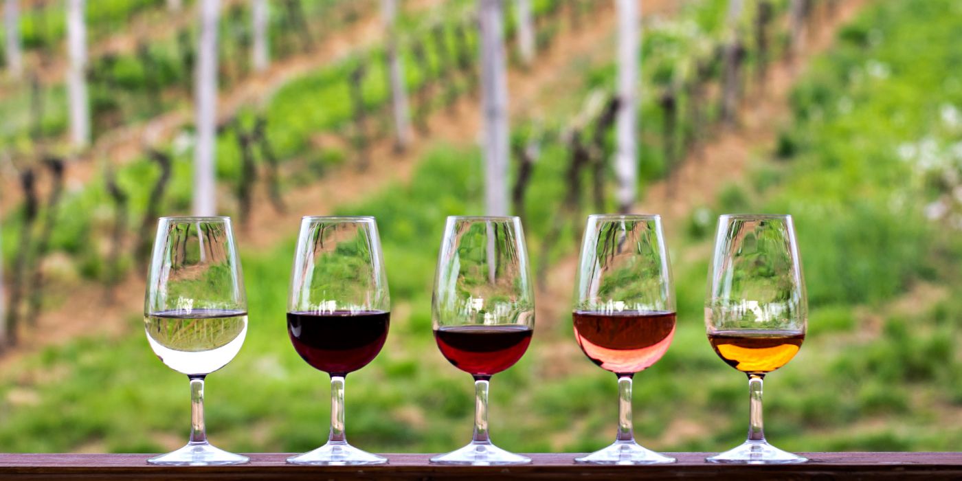 Vrste vina - vodič kroz sorte vina koje morate probati
