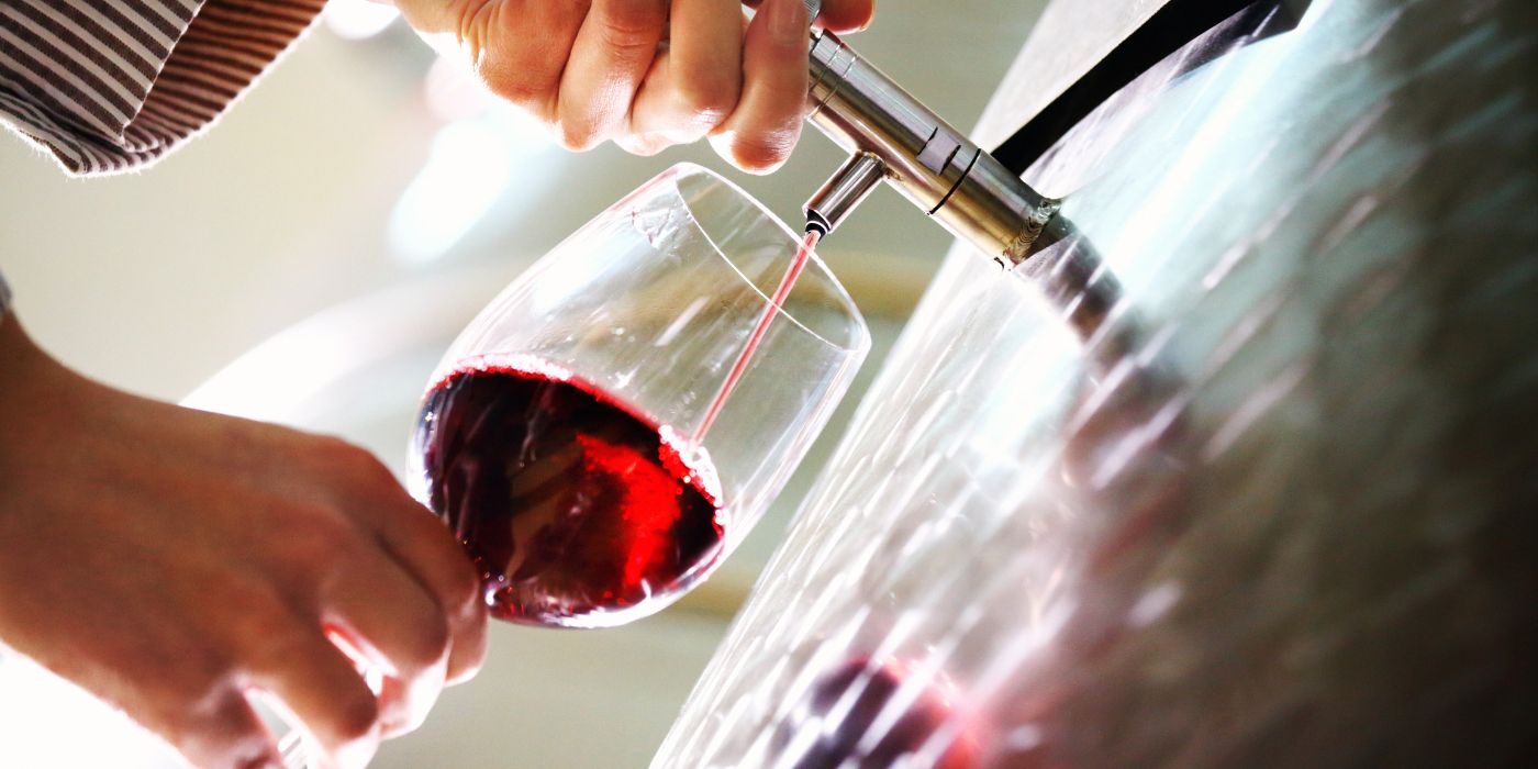 Vrste vina - vodič kroz sorte vina koje morate probati