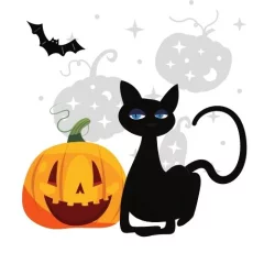 Halloween - dekoracije za Noć vještica - Bima