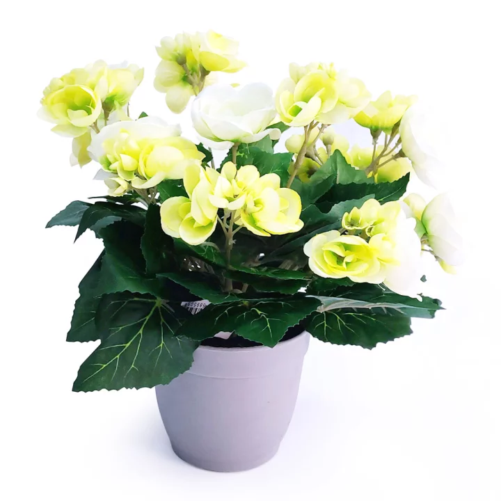 Cvijeće begonija umjetna bijela u tegli 27 cm