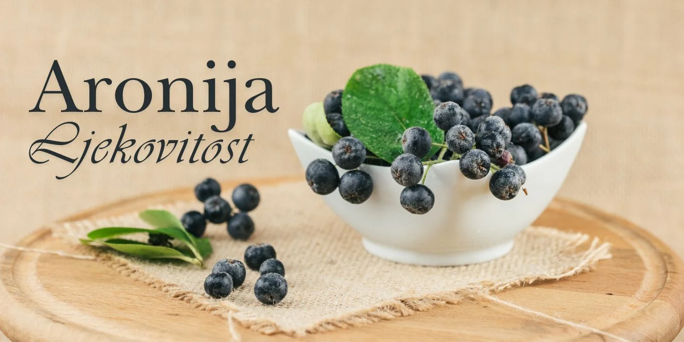 Aronija ljekovitost - Tajna dugovječnosti